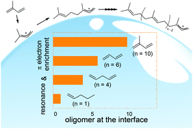 Controlling factors of oligomerization at the water surface: why is ...