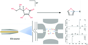 From ascorbic acid to furan derivatives: the gas phase acid catalyzed ...