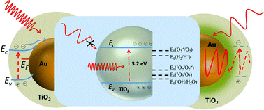 Generation of reactive oxygen species and charge carriers in plasmonic ...