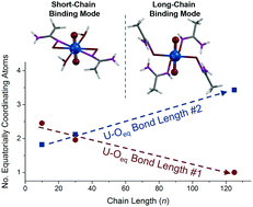 Polyamidoxime chain length drives emergent metal-binding phenomena ...