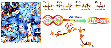 Role of cationic groups on structural and dynamical correlations in ...