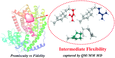 Catalytic promiscuity of the non-native FPP substrate in the TEAS ...