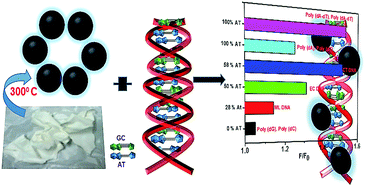 Egg-shell derived carbon dots for base pair selective DNA binding and ...