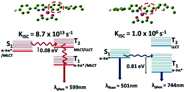 Intersystem crossing rate dependent dual emission and phosphorescence from cyclometalated ...