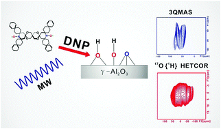 Probing the surface of γ-Al2O3 by oxygen-17 dynamic nuclear ...