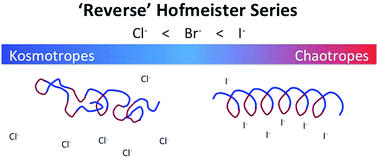 ‘Reverse’ Hofmeister effects on the sol–gel transition rates for an α ...