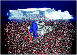 Ice-binding site of surface-bound type III antifreeze protein partially ...