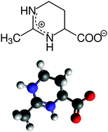Influence of compatible solute ectoine on distinct DNA structures ...