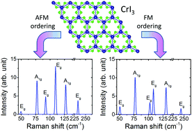 Distinct spin–lattice and spin–phonon interactions in monolayer ...