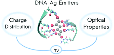 Optical properties and charge distribution in rod-shape DNA–silver ...