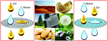 Oil/water separation based on natural materials with super-wettability ...