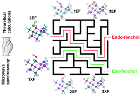 Identification of the maze in the conformational landscape of fenchol ...