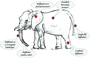 Bayesian analysis of single-particle tracking data using the nested ...