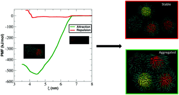 Effect of surface coverage and chemistry on self-assembly of monolayer ...
