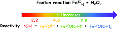 A computational study of the Fenton reaction in different pH ranges ...