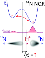 14N NQR spectroscopy reveals the proton position in N–H⋯N bonds: a case ...