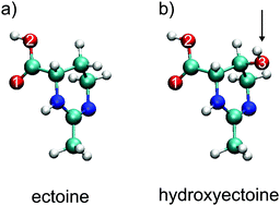 Hydration in aqueous solutions of ectoine and hydroxyectoine - Physical ...