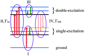 Double-excitation manifold's effect on exciton transfer dynamics and ...