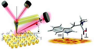 Multianalytical approach for surface- and tip-enhanced infrared ...