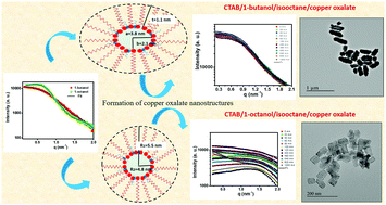 Understanding the role of co-surfactants in microemulsions on the ...