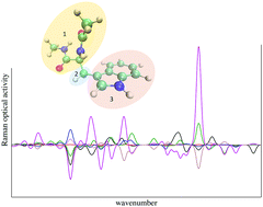 Localized molecular orbitals for calculation and analysis of ...