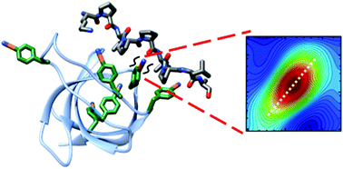 Site-specific 2D IR spectroscopy: a general approach for the ...