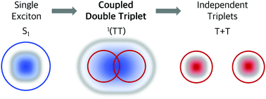 Coupled double triplet state in singlet fission - Physical Chemistry ...