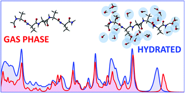 The effect of protein backbone hydration on the amide vibrations in ...
