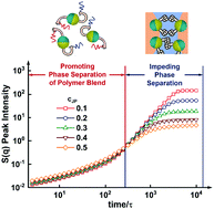 Distinctive phase separation dynamics of polymer blends: roles of Janus nanoparticles - Physical ...