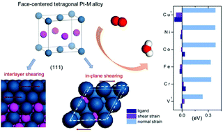 Unusual strain effect of a Pt-based L10 face-centered tetragonal core ...