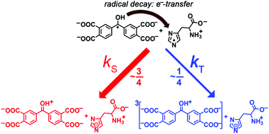 Competition of singlet and triplet recombination of radical pairs in ...
