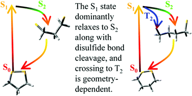 Disulfide bond photochemistry: the effects of higher excited states and ...
