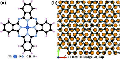 Electronic and magnetic properties of CoPc and FePc molecules on ...