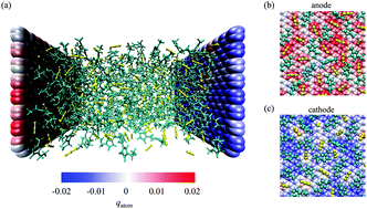 Understanding the charging dynamics of an ionic liquid electric double ...
