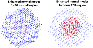 A complex multiscale virtual particle model based elastic network model ...