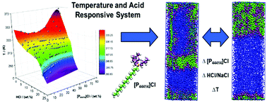 Mechanisms of phase separation in temperature-responsive acidic aqueous ...