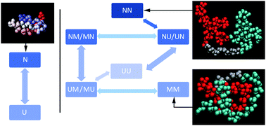 Competition of individual domain folding with inter-domain interaction ...