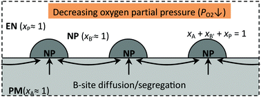 Microstructure evolution and kinetics of B-site nanoparticle exsolution ...