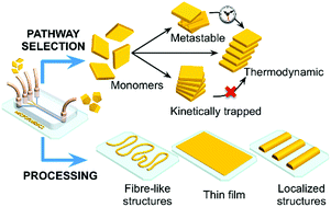 Self-assembled materials and supramolecular chemistry within ...