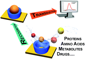 Biochemical sensing with macrocyclic receptors - Chemical Society ...