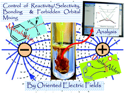 Structure and reactivity/selectivity control by oriented-external ...