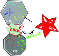 Click and release: bioorthogonal approaches to “on-demand” activation ...