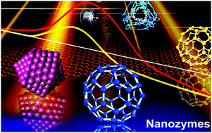 Nanomaterials with enzyme-like characteristics (nanozymes): next ...