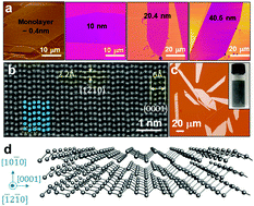 Tellurene: its physical properties, scalable nanomanufacturing, and ...