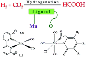 Mechanistic insights into catalytic CO2 hydrogenation using Mn(i ...