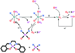 The application of a nickel(ii) Schiff base complex in water oxidation ...