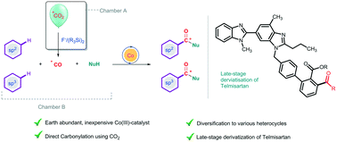 Site-selective C–H bond carbonylation with CO2 and cobalt-catalysis ...