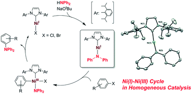 Ni(i)–Ni(iii) cycle in Buchwald–Hartwig amination of aryl bromide ...