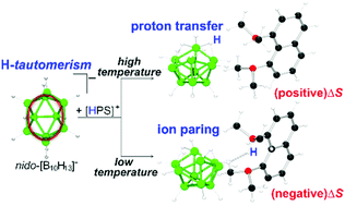 Decaborane anion tautomerism: ion pairing and proton transfer control ...