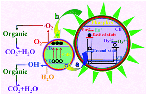 Enhanced visible light catalysis activity of CdS-sheathed SrAl2O4:Eu2 ...